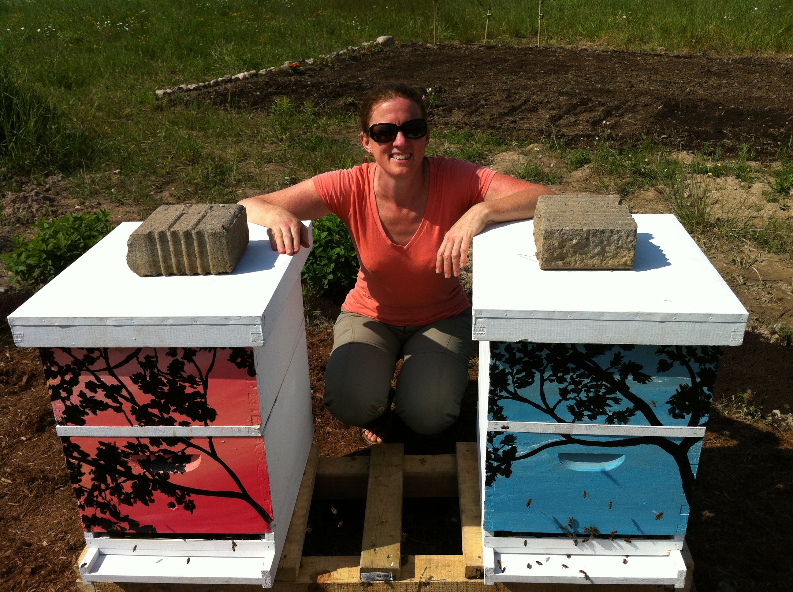 Courses – Backyard Beekeeping Supply Co