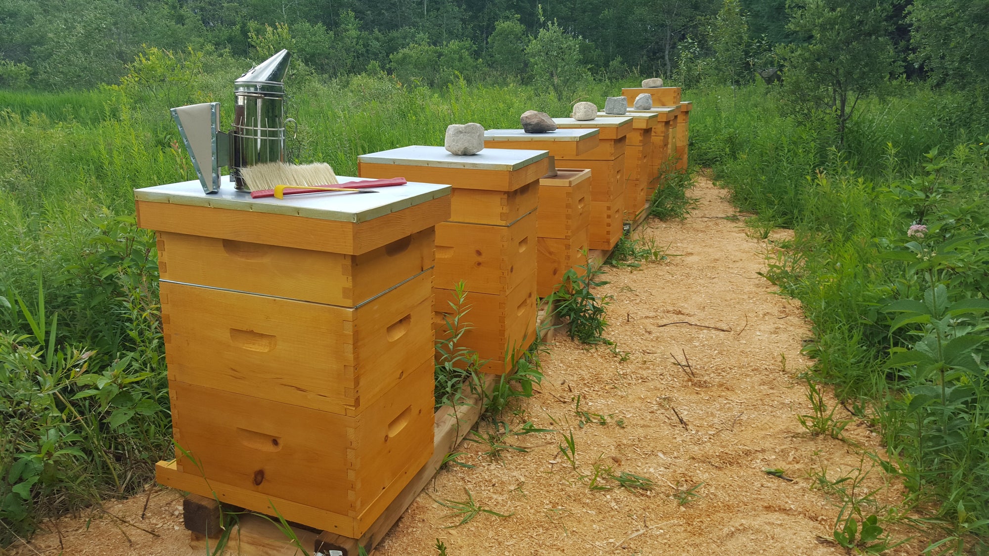 Backyard Honey & Beekeeper Supply – Backyard Beekeeping Supply Co
